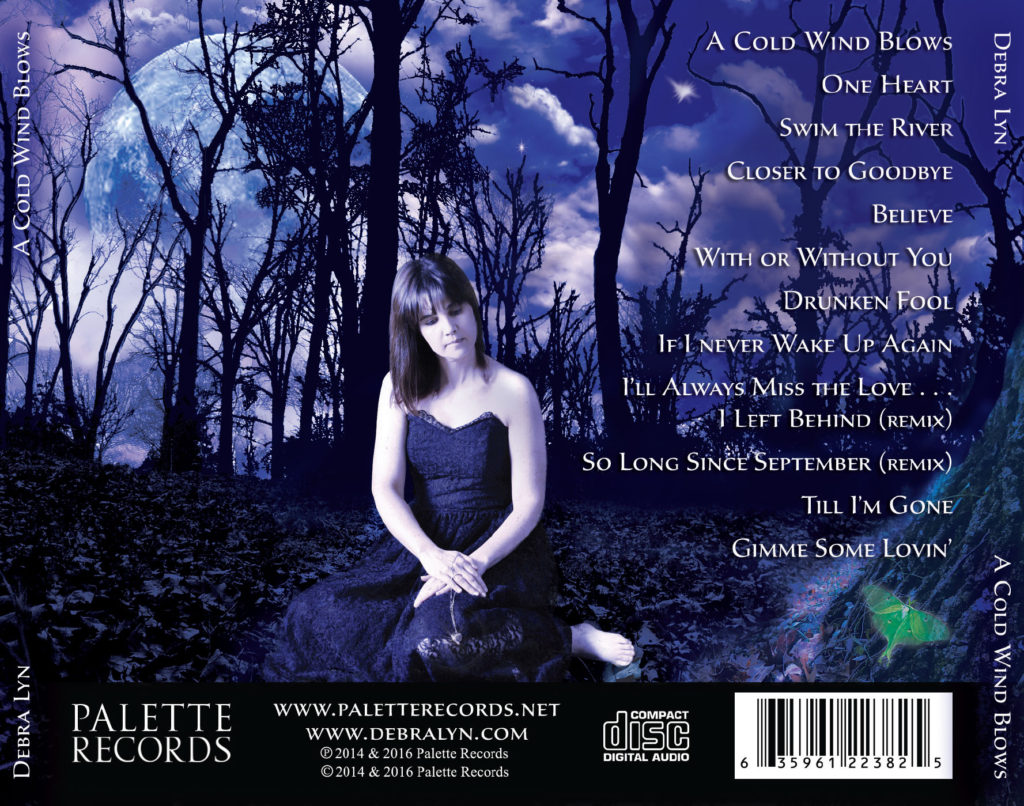Debra Lyn-A Cold Wind Blows-Nashville-Mt. Juliet CD Design | DLS Graphics